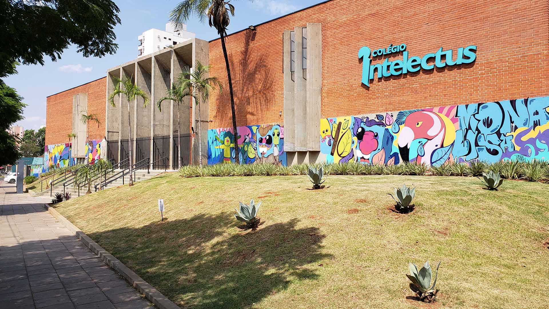 Colégio Intelectus