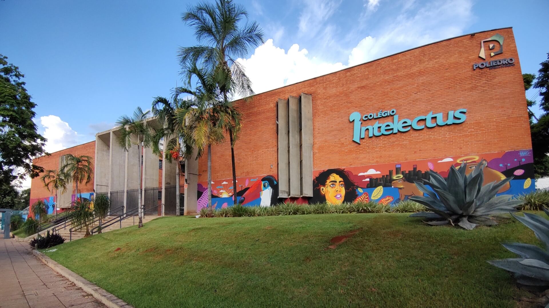 Colégio Intelectus